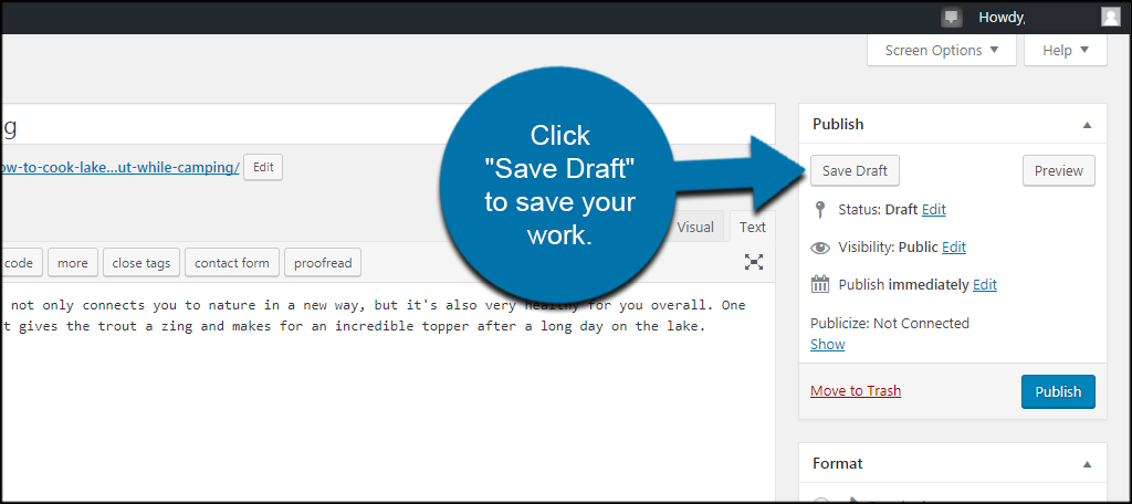 如何创建一个WordPress帖子和页面- GreenGeeks - 雷竞技下载app官网