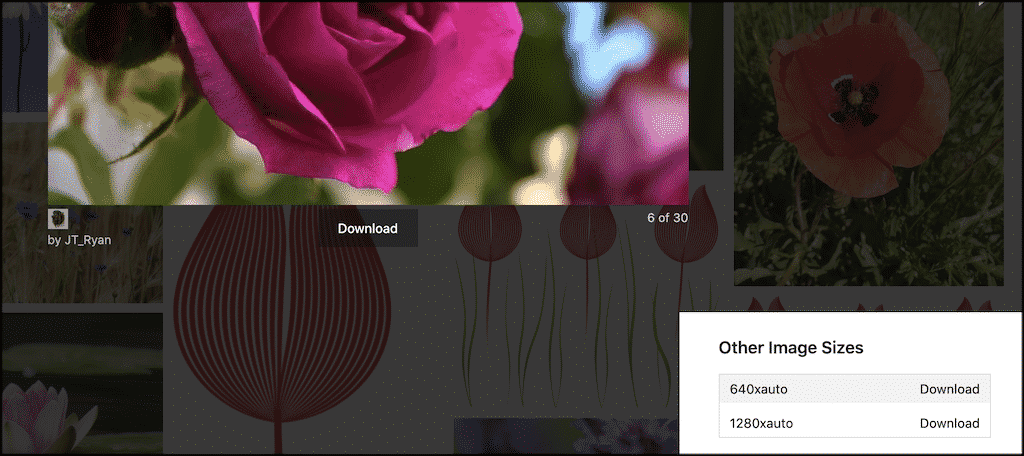 如何从Pixabay下载免费图片到WordPress - GreenGeeks - 雷竞技下载app官网